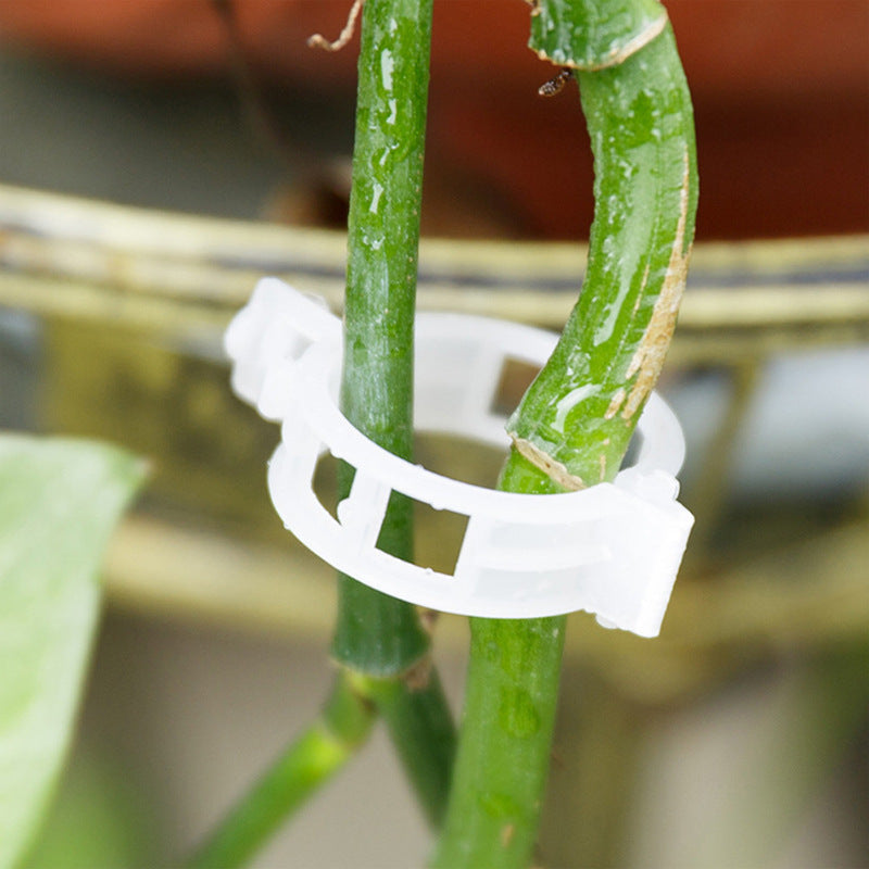 Plant Support Clips – Peachloft