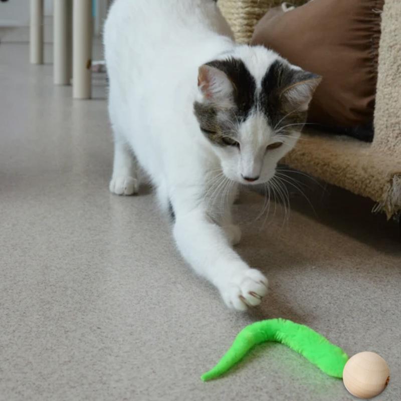 Wiggly Cat Toys With Bells – Peachloft