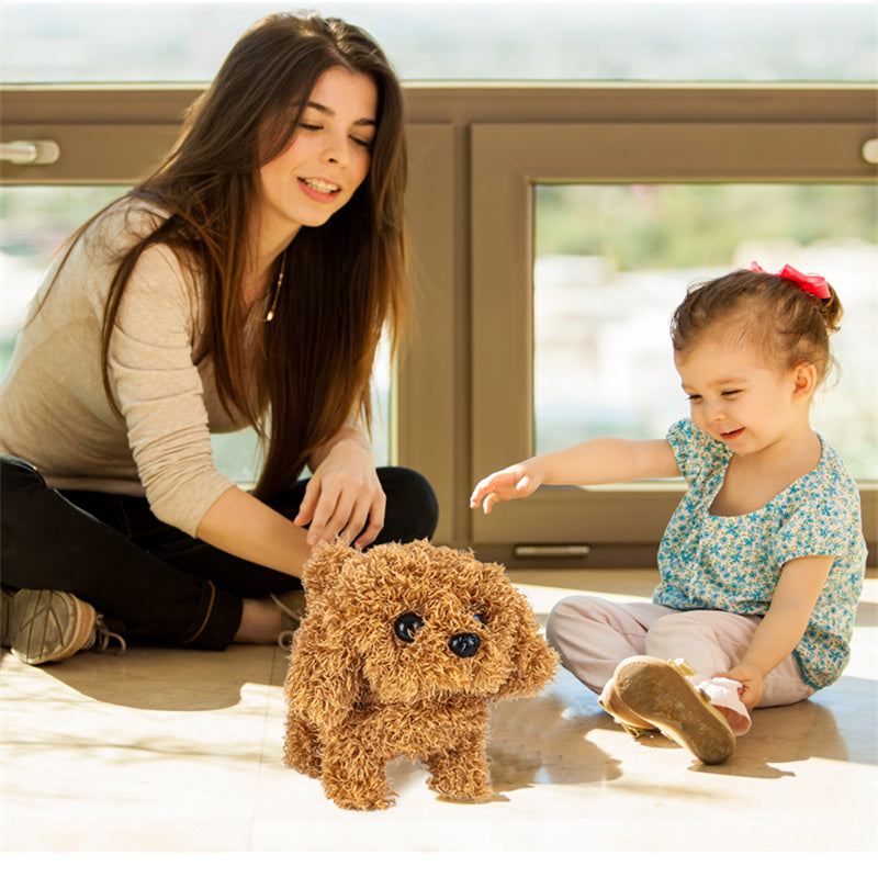 Interactive Simulation Toy – Peachloft